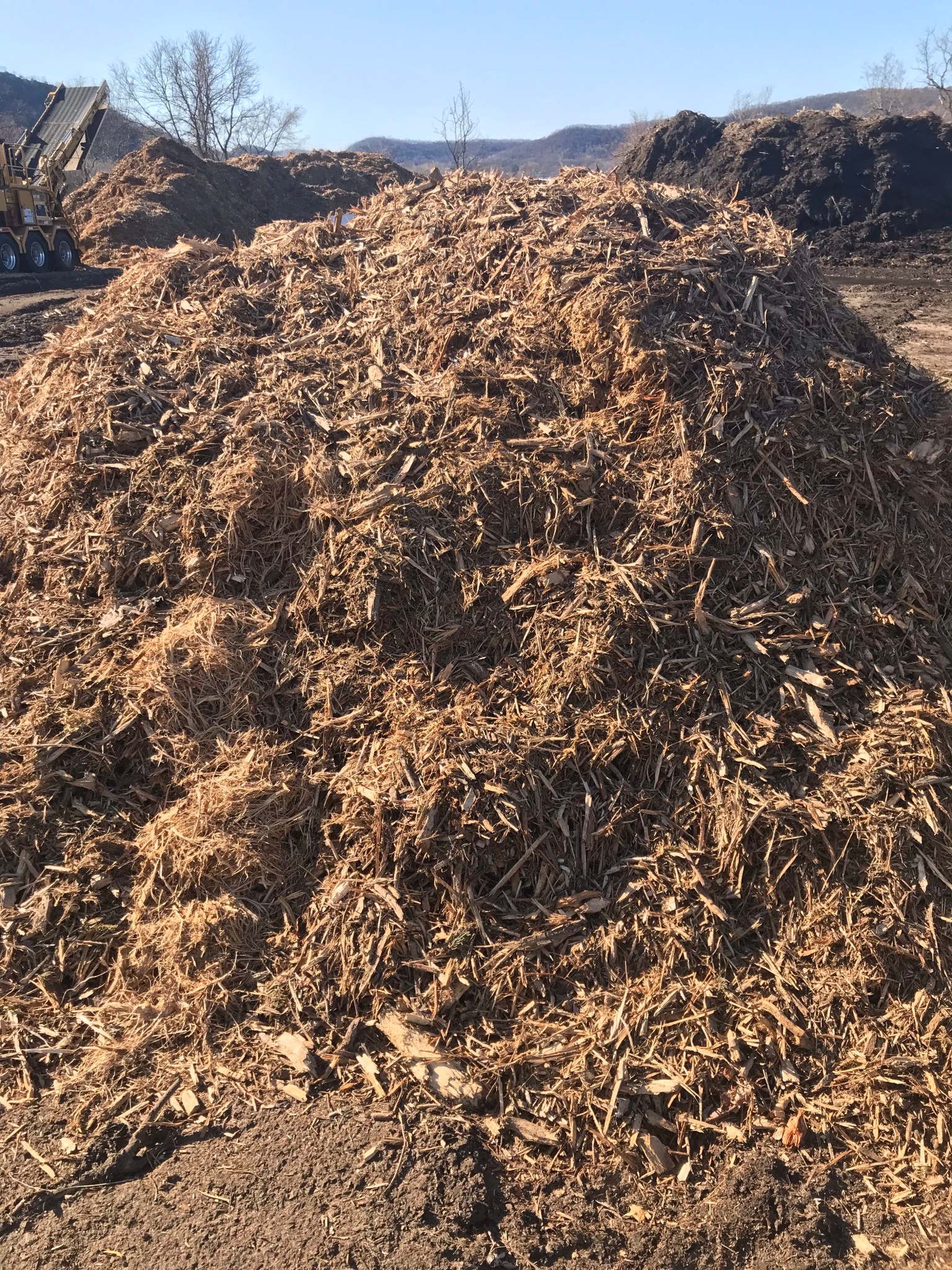 Gardens not Grass – Kitchi-Gami